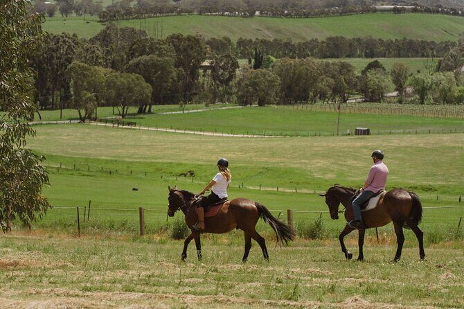 Romantic Horse Trail Ride with Wine and Food in Adelaide Hills - The Value and Practical Aspects