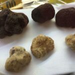 Rome: Food Tour in Trastevere with Dinner & Fine Wine - Sampling at Trapizzino: A Modern Take on Old Favorites