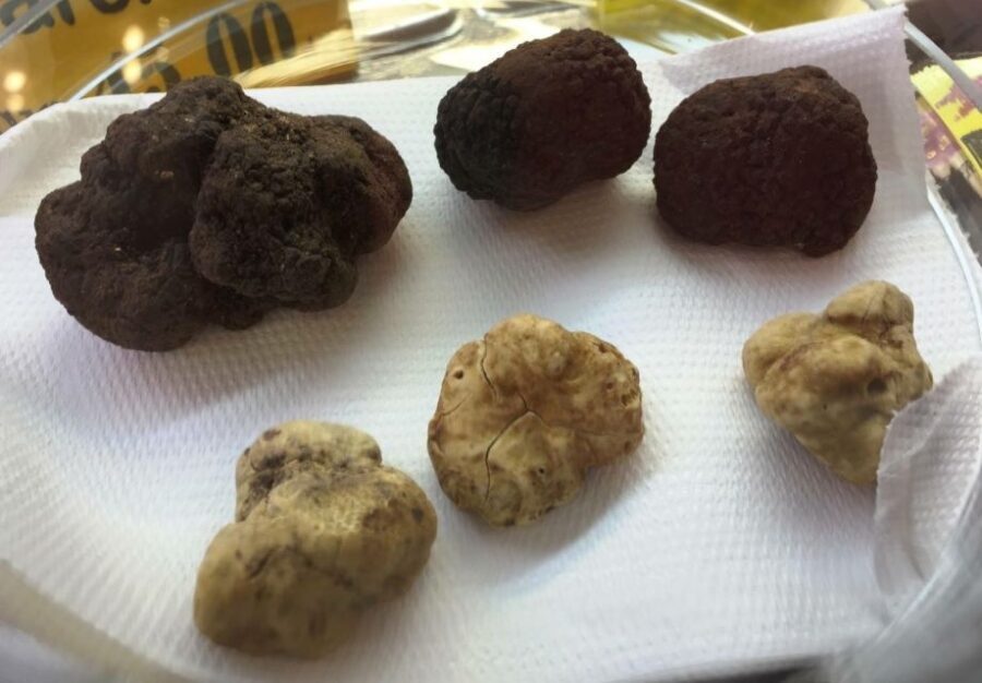Rome: Food Tour in Trastevere with Dinner & Fine Wine - Sampling at Trapizzino: A Modern Take on Old Favorites