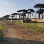 Rome: Horseback Riding Experience in Castel Fusano - The Practical Side: Cost, What’s Included, and What You Need to Bring