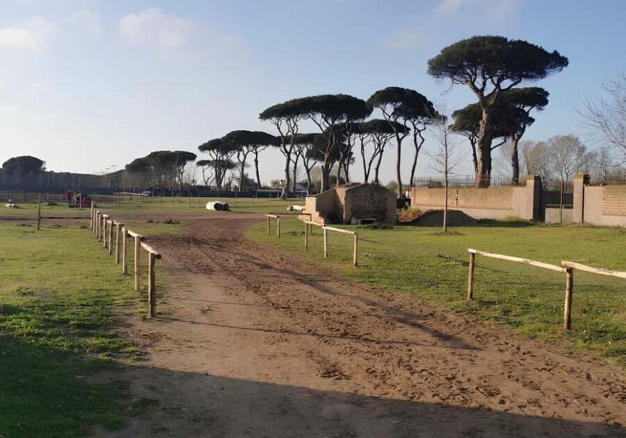 Rome: Horseback Riding Experience in Castel Fusano - The Practical Side: Cost, What’s Included, and What You Need to Bring