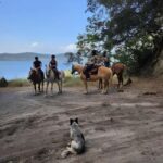 Rome: Lake Martignano Horseback Ride with Guide - Who Is This Tour Best For?