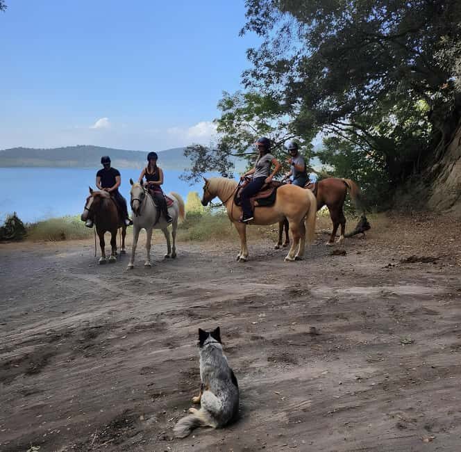 Rome: Lake Martignano Horseback Ride with Guide - Who Is This Tour Best For?