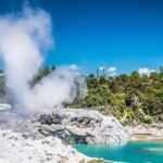 Rotorua Full Day Private Tour from Auckland - What Makes This Tour Stand Out?