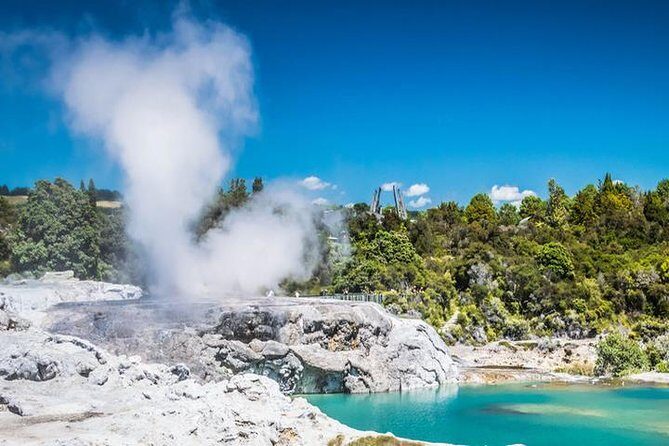 Rotorua Full Day Private Tour from Auckland - What Makes This Tour Stand Out?