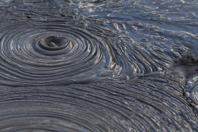 Rotorua Small-Group Day Tour from Auckland - How the Tour Balances Value and Experience