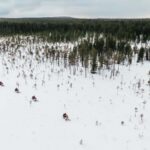 Rovaniemi: 3h Electric Snowmobile Safari at Reindeer Farm - A Closer Look at the Rovaniemi Electric Snowmobile Tour