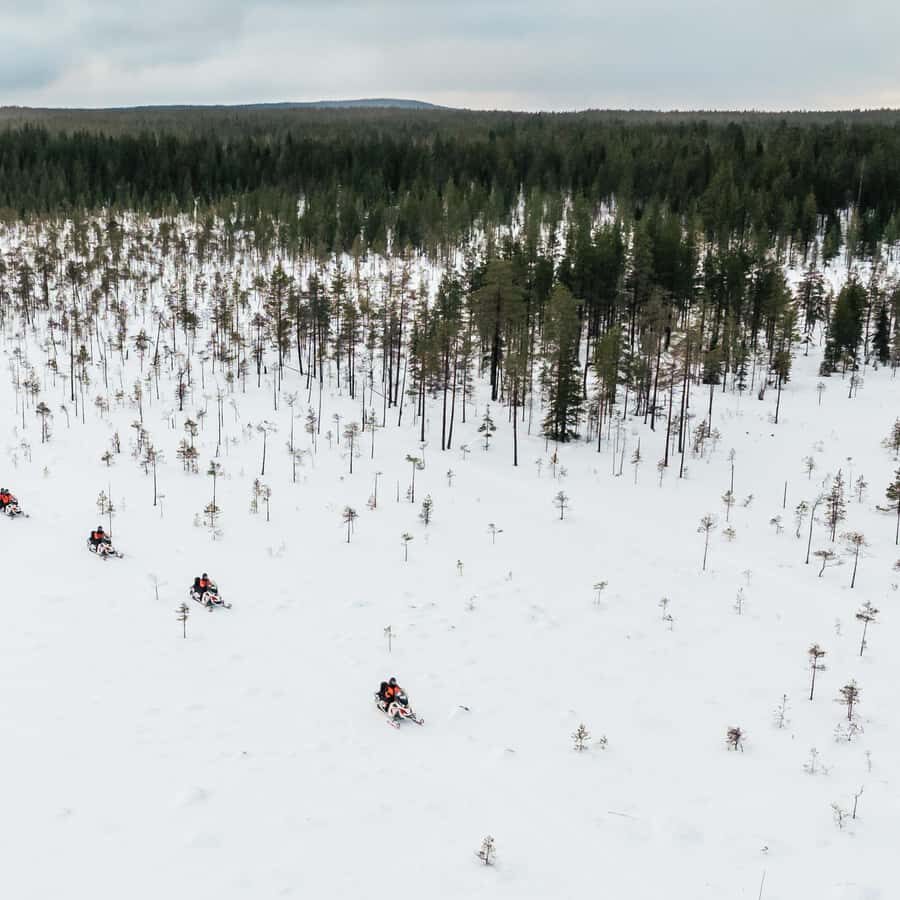 Rovaniemi: 3h Electric Snowmobile Safari at Reindeer Farm - A Closer Look at the Rovaniemi Electric Snowmobile Tour