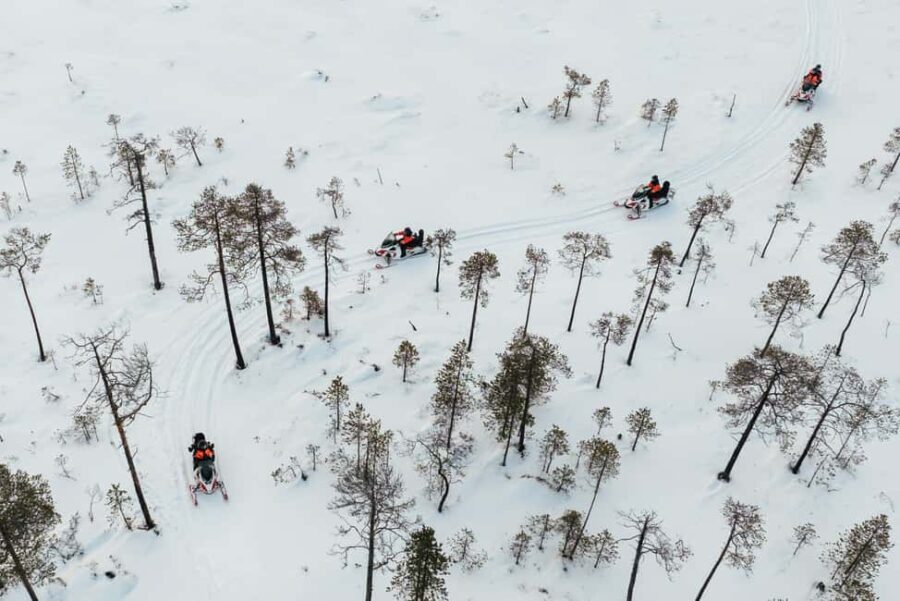 Rovaniemi: 4h Electric Snowmobile Safari at Reindeer Farm - What’s Included and What to Bring