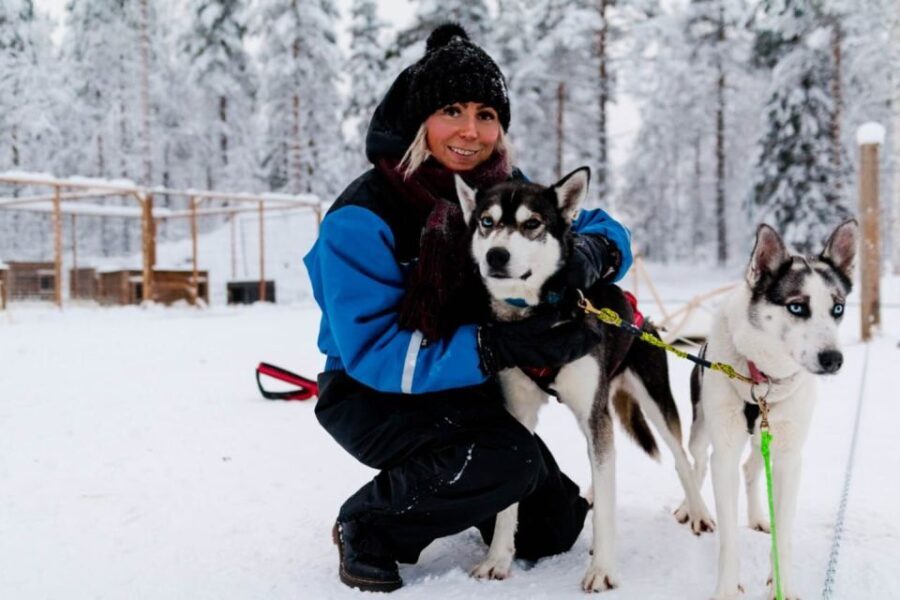 Rovaniemi: Apukka Husky Adventure 7km, self-driven - A detailed breakdown of the itinerary