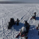 Rovaniemi: Arctic Snowmobiling Ride with Local Guide - Who Will Love This Tour?