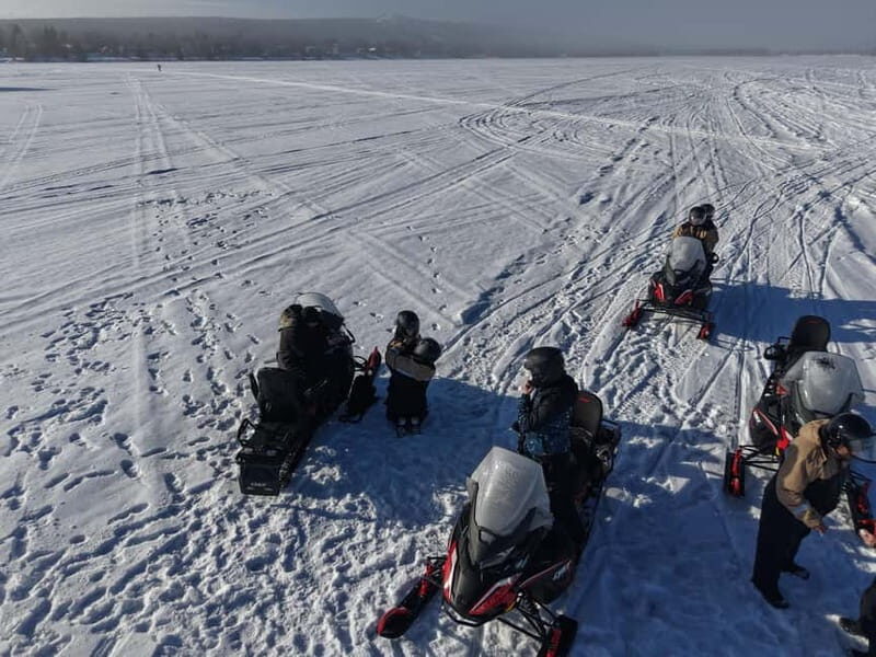 Rovaniemi: Arctic Snowmobiling Ride with Local Guide - Who Will Love This Tour?