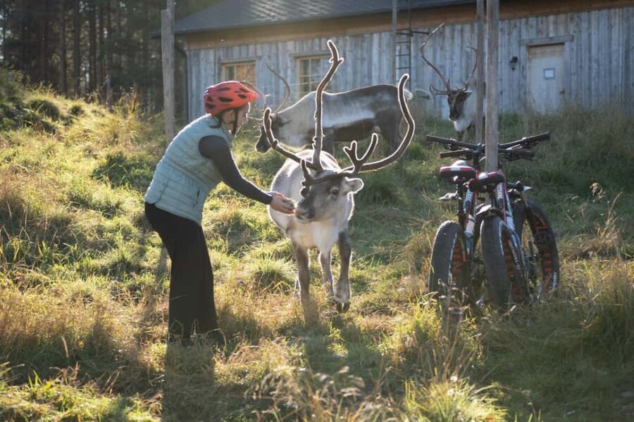 Rovaniemi: E-fatbike Trip to the Reindeer Farm - Authenticity and Guide Quality