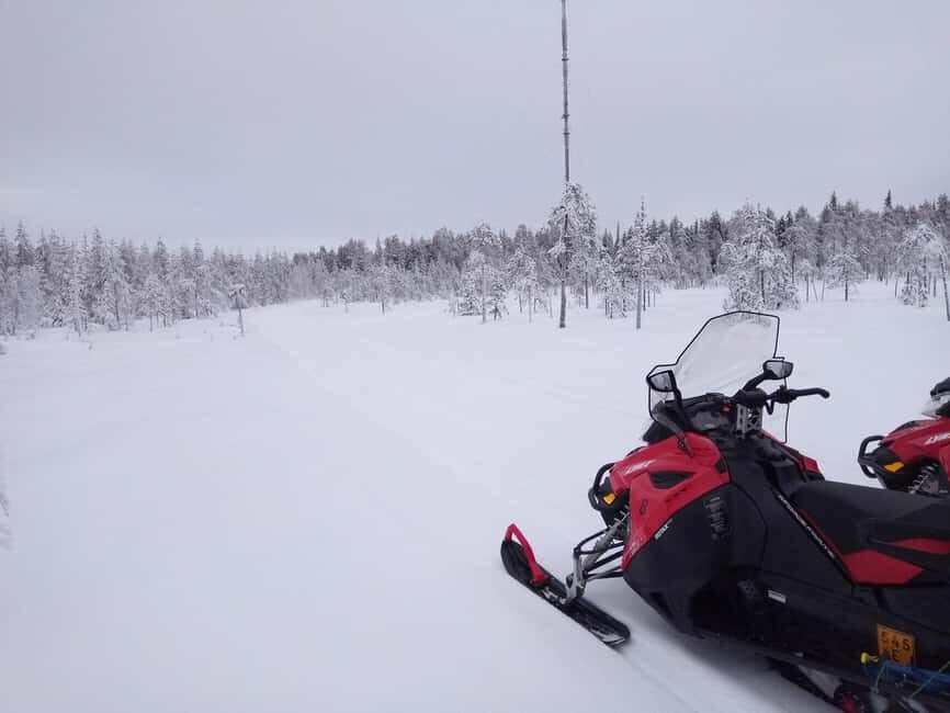 Rovaniemi: Full-Day Snowmobile Adventure - The Practical Side: What to Expect