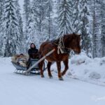 Rovaniemi: Horse-Drawn Sleigh Ride with Snacks and Transfer - The Experience’s Value in Context