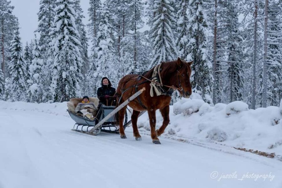 Rovaniemi: Horse-Drawn Sleigh Ride with Snacks and Transfer - The Experience’s Value in Context