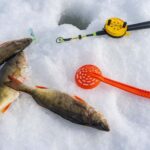 Rovaniemi: Ice Fishing, Private Sauna & Salmon Soup - Why You Should Consider This Tour