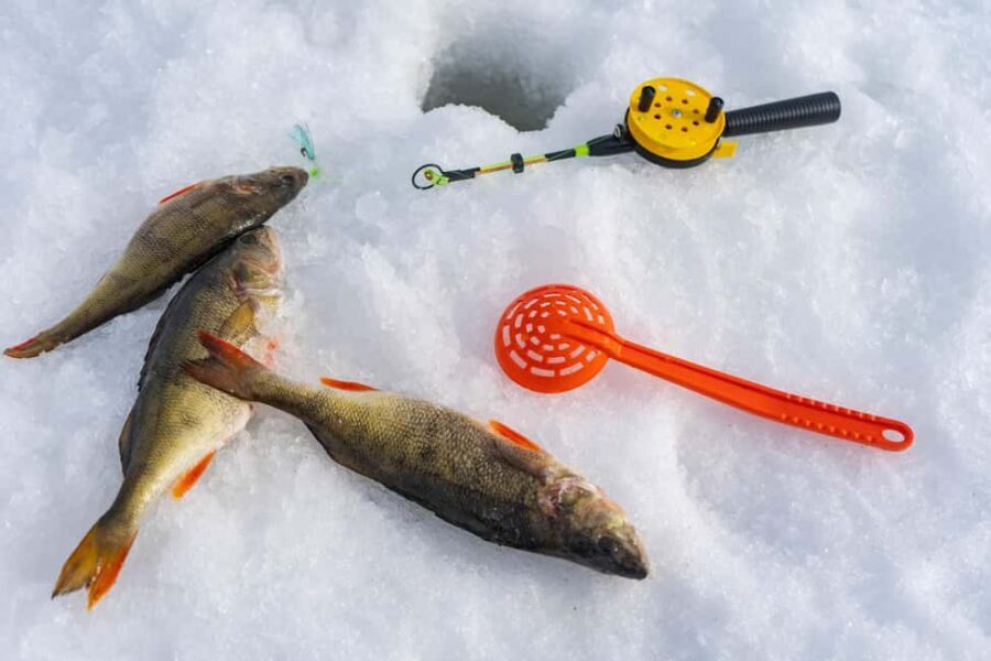 Rovaniemi: Ice Fishing, Private Sauna & Salmon Soup - Why You Should Consider This Tour