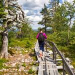 Rovaniemi: Korouoma Canyon Hike and Barbecue Experience - The Sum Up