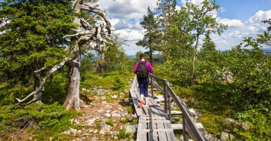 Rovaniemi: Korouoma Canyon Hike and Barbecue Experience - The Sum Up