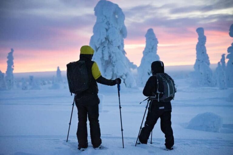 Rovaniemi: Private 3h Snowshoeing hike - The Itinerary: What to Expect During Your 3 Hours