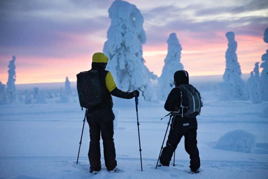 Rovaniemi: Private 3h Snowshoeing hike - The Itinerary: What to Expect During Your 3 Hours