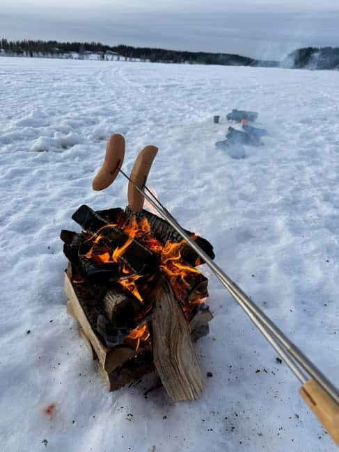 Rovaniemi: Private Snowmobile Trip With Local Guide - The Itinerary: What You Can Expect