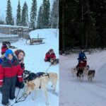Rovaniemi: Reindeer & Husky Safari with Lunch - The Sum Up: A Genuine Arctic Experience