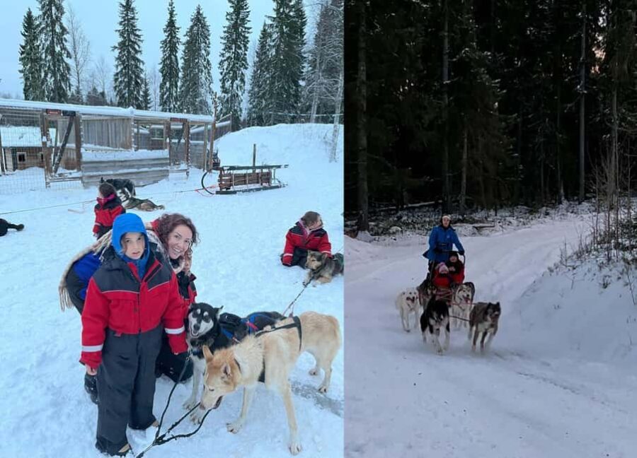 Rovaniemi: Reindeer & Husky Safari with Lunch - The Sum Up: A Genuine Arctic Experience