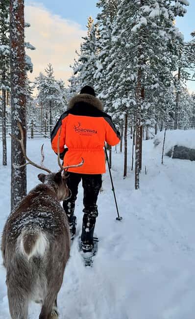 Rovaniemi: Snowshoe trip to meet reindeer - Exploring the Snowshoe Experience in Rovaniemi