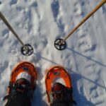 Rovaniemi: Snowshoeing Day Trip with Lunch - Pyhä-Luosto - Who Will Love This Tour?