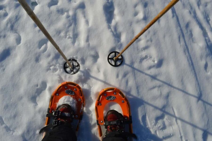 Rovaniemi: Snowshoeing Day Trip with Lunch - Pyhä-Luosto - Who Will Love This Tour?
