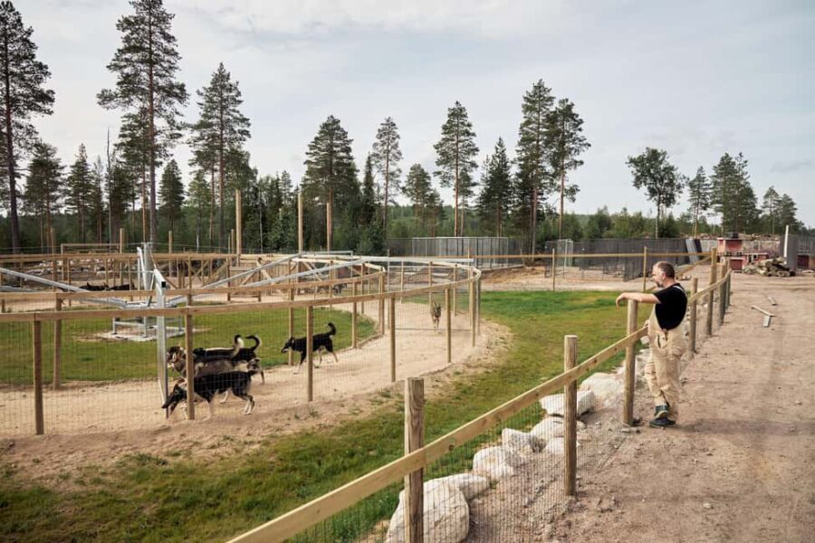 Rovaniemi: Summer Husky Kennel Tour and Cart Ride - Practical Details to Keep in Mind