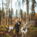 Rovaniemi: Walk with Reindeer - An In-Depth Look at the Experience
