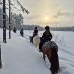 Rovaniemi: Winter Horseback Ride on Snowy Hills and Forests - Final Thoughts: Who Will Enjoy This Tour?