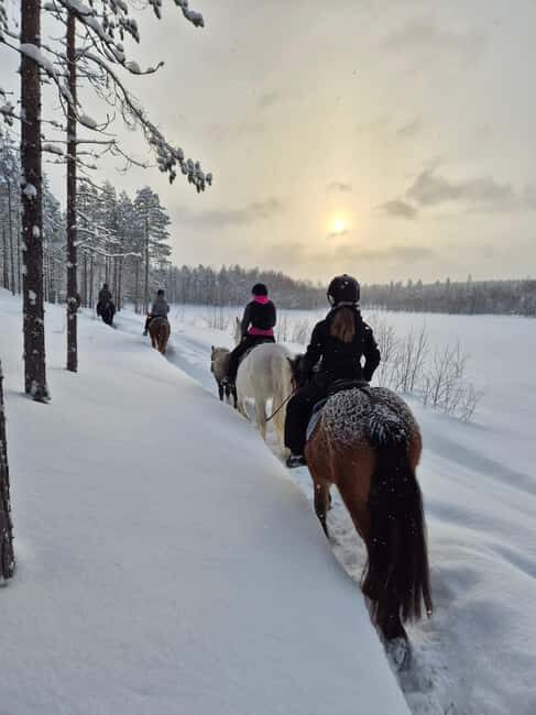 Rovaniemi: Winter Horseback Ride on Snowy Hills and Forests - Final Thoughts: Who Will Enjoy This Tour?
