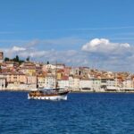 Rovinj: Red Island & Lim Fjord boat tour with BBQ & Swimming - Practical Details and What to Expect