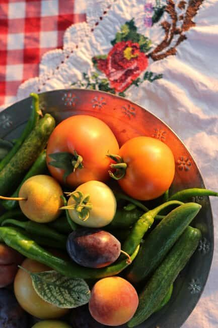 Rural Moldova: Best Yoga Farm Retreat for Soul and Body - The Experience in Detail