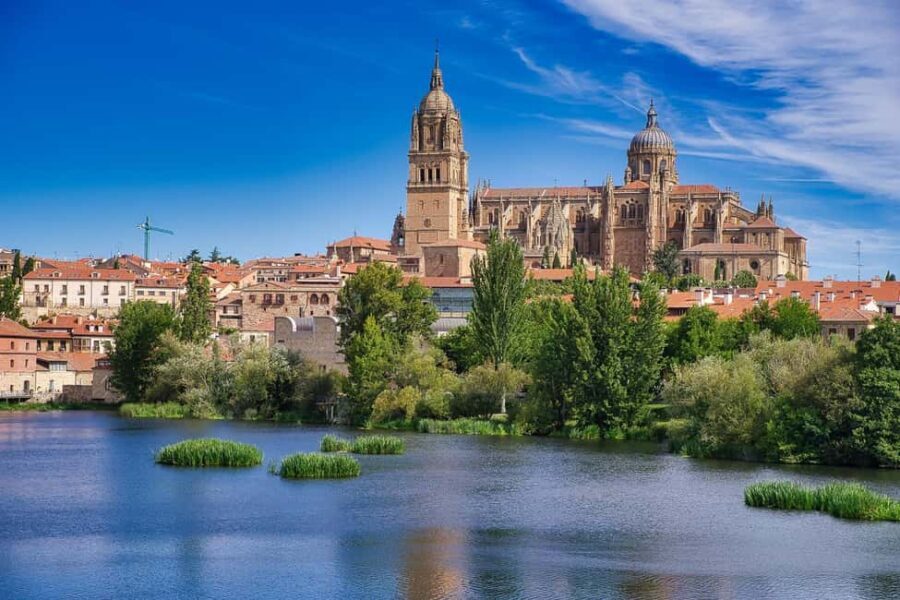 Salamanca: Private 2-Hour Intro City Walk with Local Guide - What to Expect During the Tour