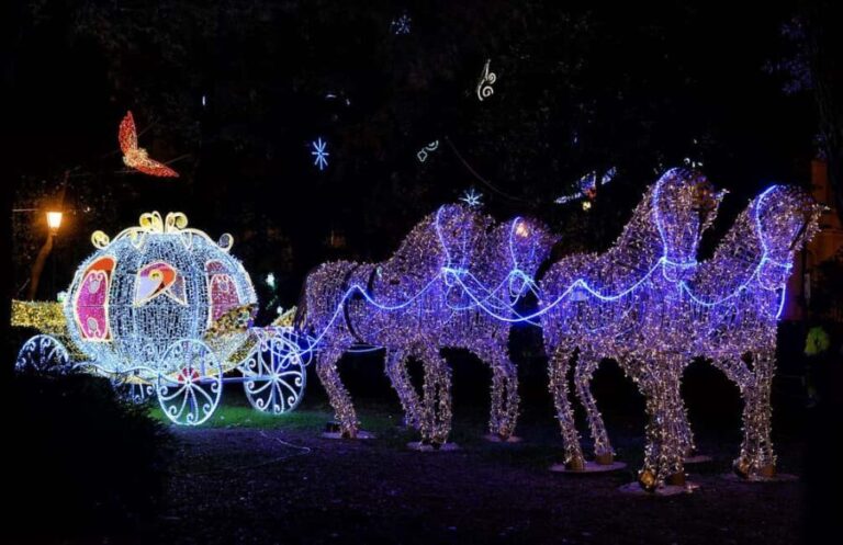 Salerno: Old town Walking Tour with Local Expert Guide - The Value of a Guided Walking Tour in Salerno