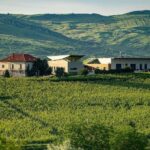 Salt Mine, Lunch at Winery & Dracula's Tomb - Small Group 7p - The Itinerary in Detail