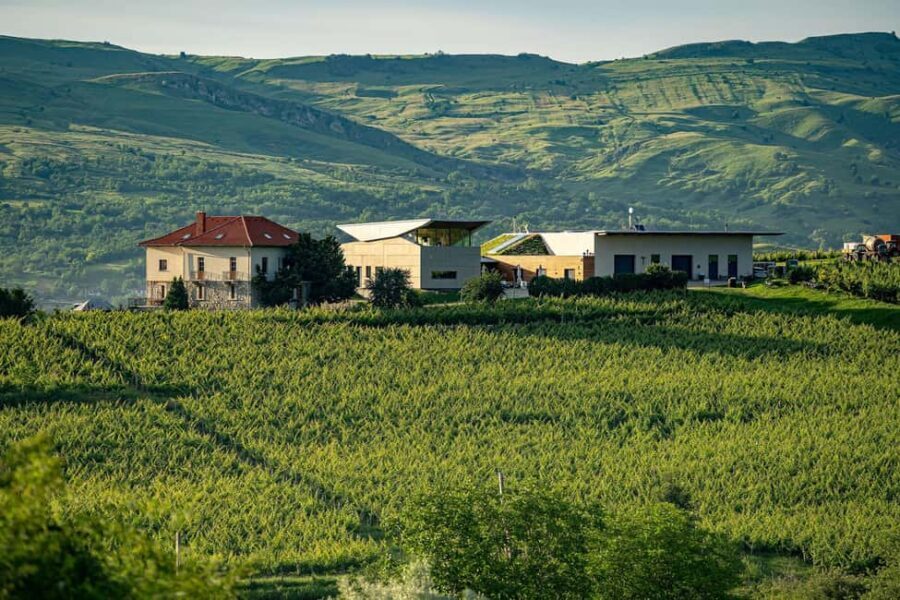 Salt Mine, Lunch at Winery & Dracula's Tomb - Small Group 7p - The Itinerary in Detail