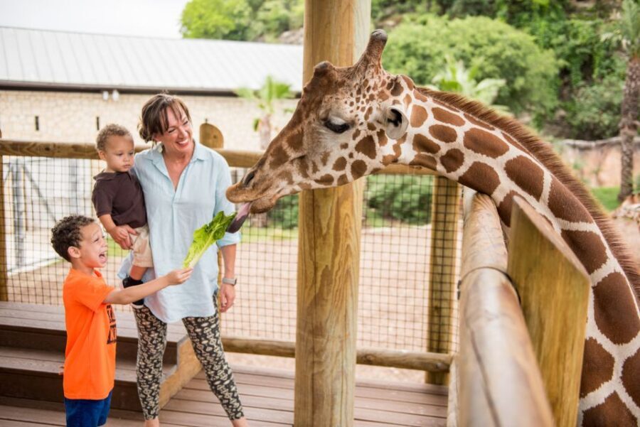 San Antonio: San Antonio Zoo Any Day Ticket - Who is This Experience Best Suited For?