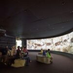 San Antonio: Witte Museum Admission Ticket - Who Will Love the Witte?