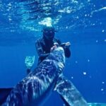 San Diego: Blue Shark Offshore Snorkel Adventure! - The Itinerary in Detail