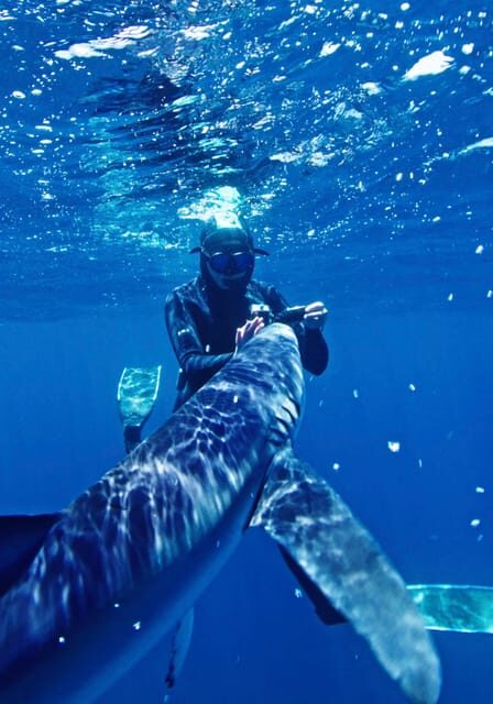 San Diego: Blue Shark Offshore Snorkel Adventure! - The Itinerary in Detail