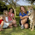 San Diego: San Diego Zoo Safari Park 1-Day Ticket - Itinerary Breakdown: What Makes Each Stop Special