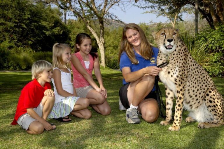 San Diego: San Diego Zoo Safari Park 1-Day Ticket - Itinerary Breakdown: What Makes Each Stop Special