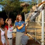 San Diego Zoo: 1-Day Admission Ticket - The Park Layout and What to Navigate