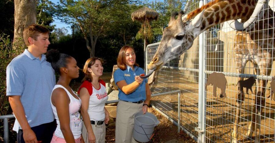 San Diego Zoo: 1-Day Admission Ticket - The Park Layout and What to Navigate